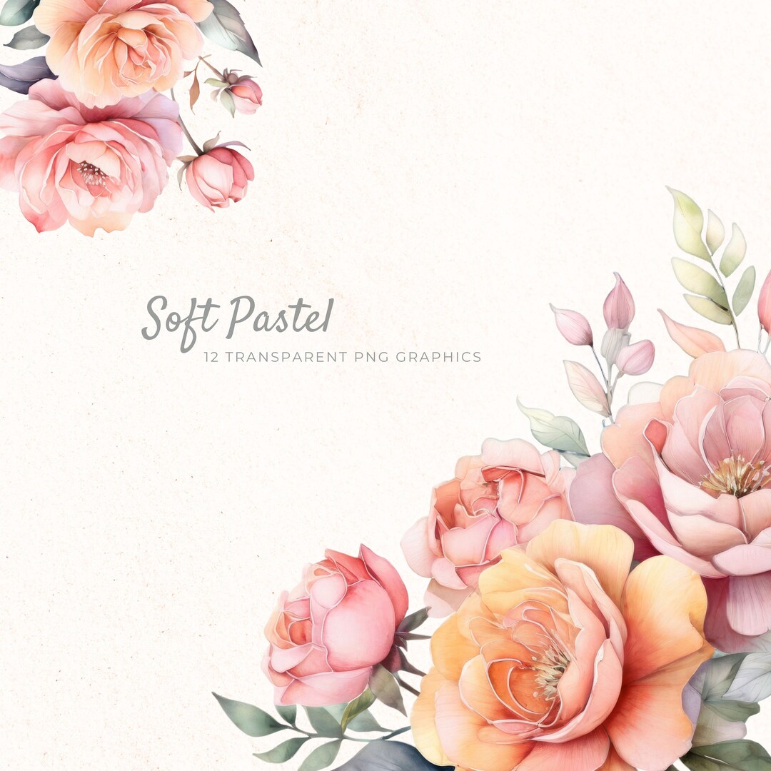 Soft Pastel Flower Clipart Set, Blush Floral PNG Images, Scrapbooking ...