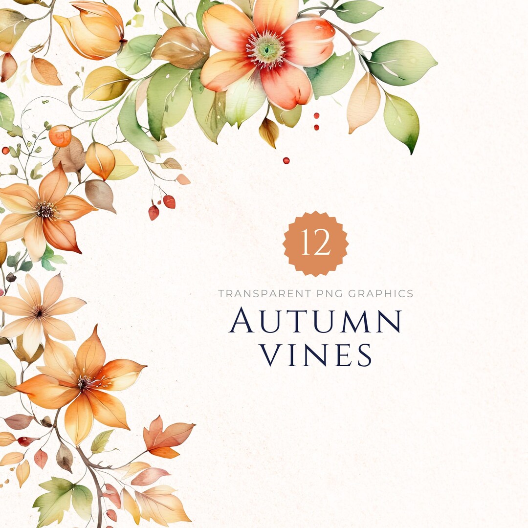 Fall Vine Clipart Set, Autumn Flower Graphics, Thanksgiving Watercolor ...