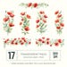 Watercolor Poppy Clipart Set, Floral PNG Images, Scrapbook Supply ...