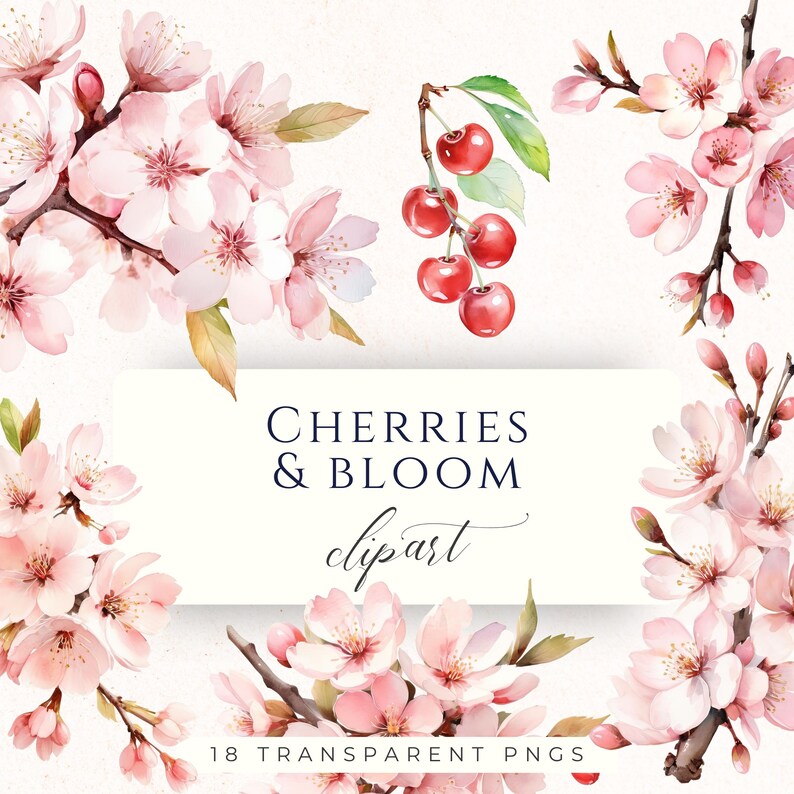 Cherry Blossom Sakura Watercolor Clipart PNG, Spring Floral Branch ...