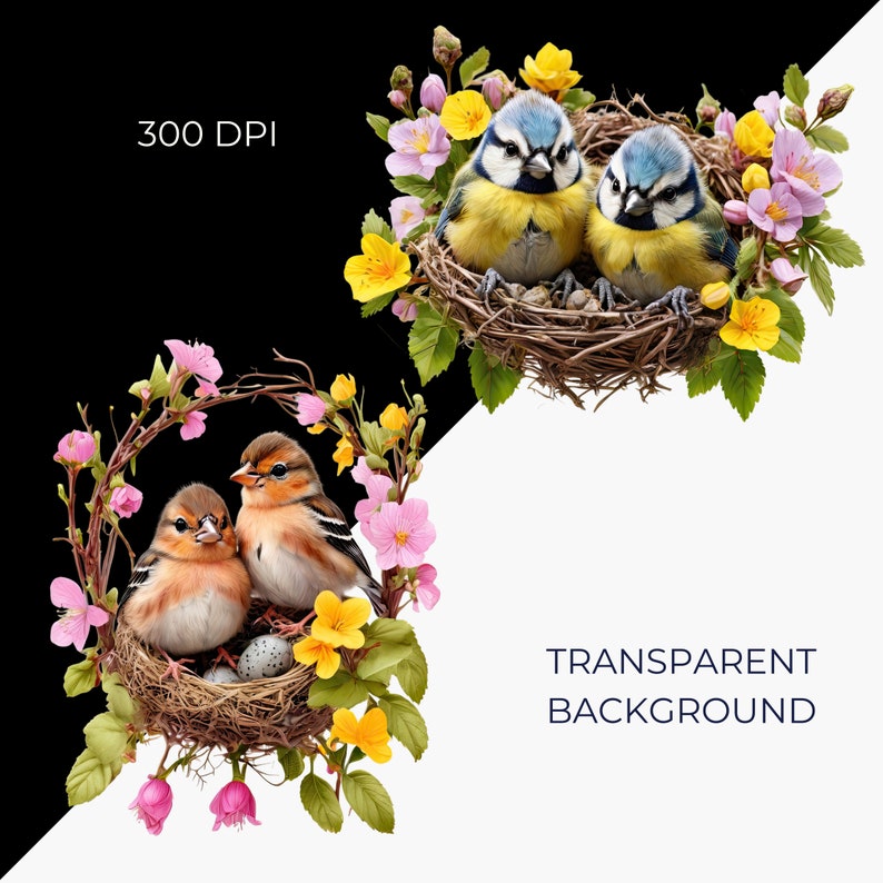 Spring Birds Clipart, Baby Bird Clip Art, Digital Download, Spring ...