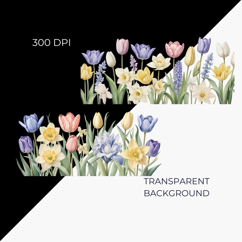 Spring Flower Border Clipart, Digital Download PNG, Paper Crafting ...