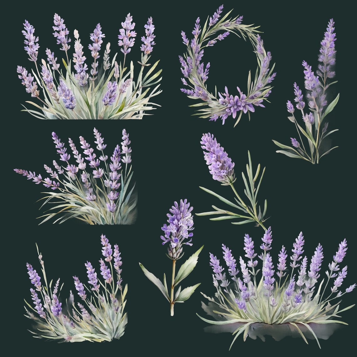 Watercolor Lavender Clipart Set, Purple Floral Graphics, Instant ...