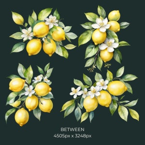 Citrus Lemon Clipart Pack, Watercolor Clip Art Set, Scrapbook Paper ...