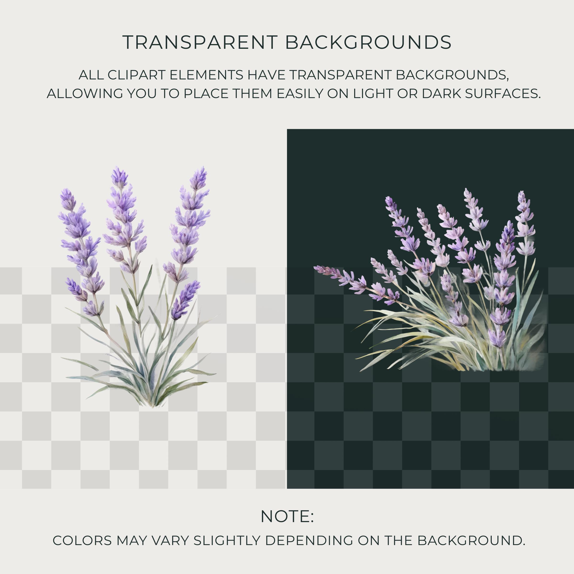 Watercolor Lavender Clipart Set, Purple Floral Graphics, Instant ...