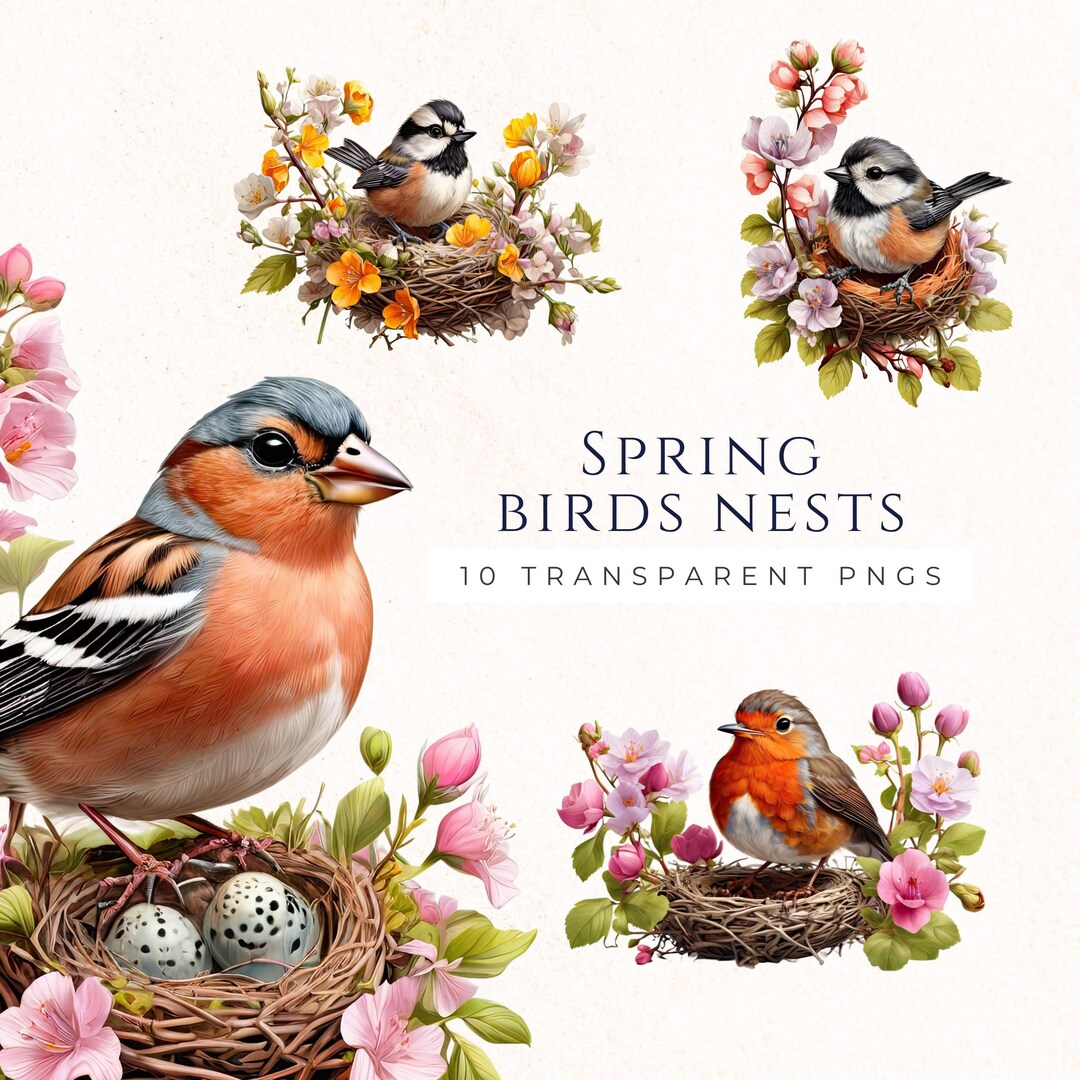 Spring Birds Nest Clipart, Sparrows and Tit Clip Art, Bird Lovers ...