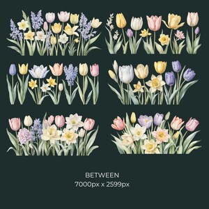 Spring Flower Border Clipart, Digital Download PNG, Paper Crafting ...