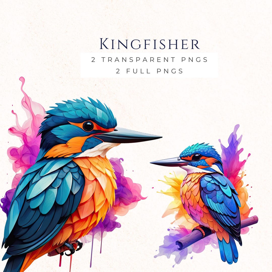 Neon Kingfisher Clipart, Instant Download PNG, Bird Lover Gift ...