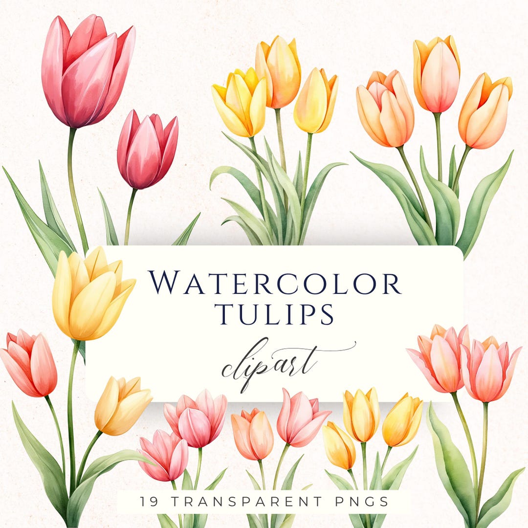 Watercolor Tulip Clipart Collection PNG, Spring Floral Graphics for ...