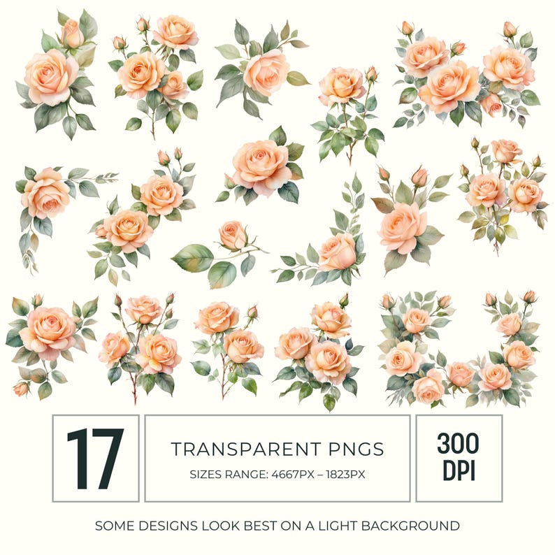 Peach Rose Flower Border Clipart PNG, Watercolor Floral Graphics for ...
