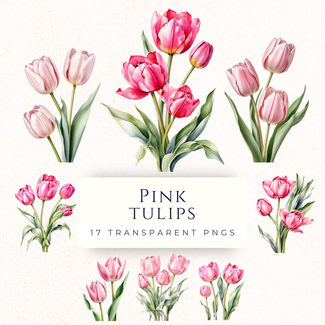 Pink Tulips Clipart, Watercolor Floral Design, Instant Download, Tulip ...