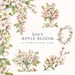 Shabby Chic Flower Clip Art Set, Watercolor Floral Images, PNG Graphics ...