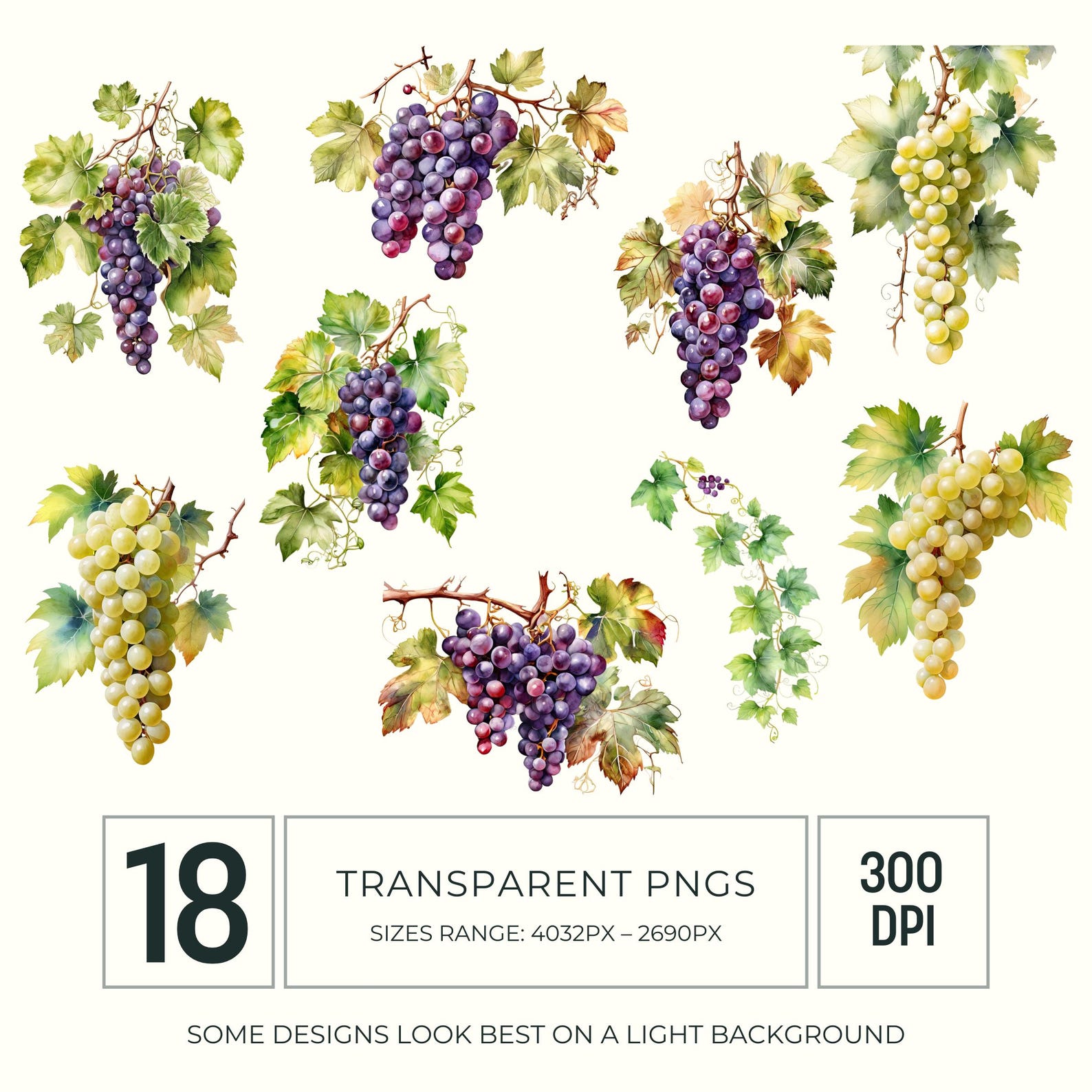 Wine Grapes Watercolor Clip Art, Fruit PNG, Grape Vine Clipart, Food ...