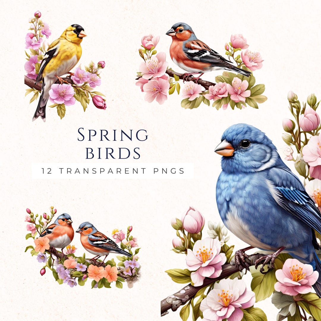 Spring Birds Clipart, Bird Clip Art, Digital Download, Instant Download ...