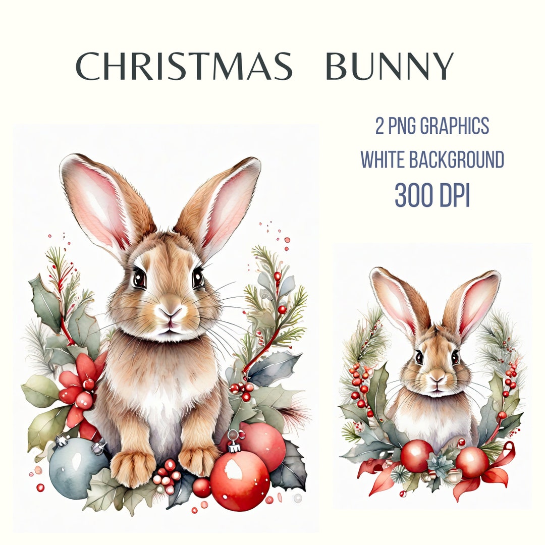 Bunny Clipart for Christmas, Cute Bunny Drawing, Winter Holiday PNG ...