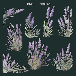 Watercolor Lavender Clipart Set, Purple Floral Graphics, Instant ...