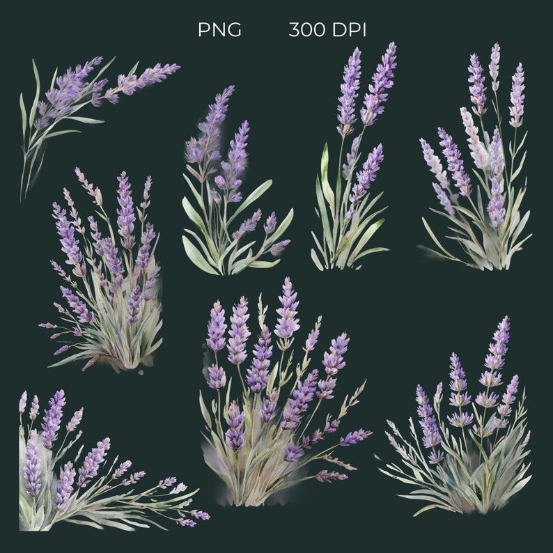 Watercolor Lavender Clipart Set, Purple Floral Graphics, Instant ...
