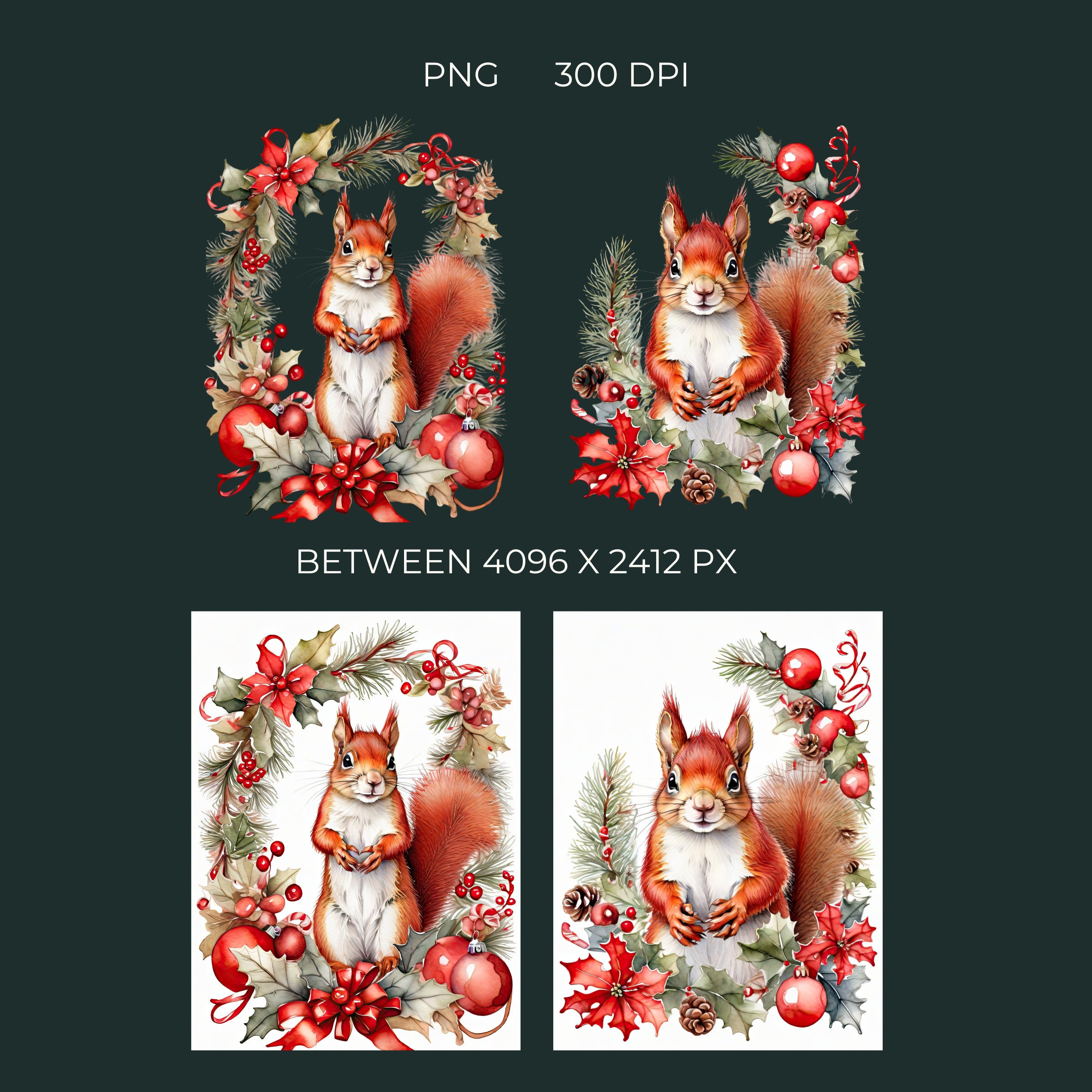 Christmas Squirrel Clip Art Instant Download PNG, Transparent ...