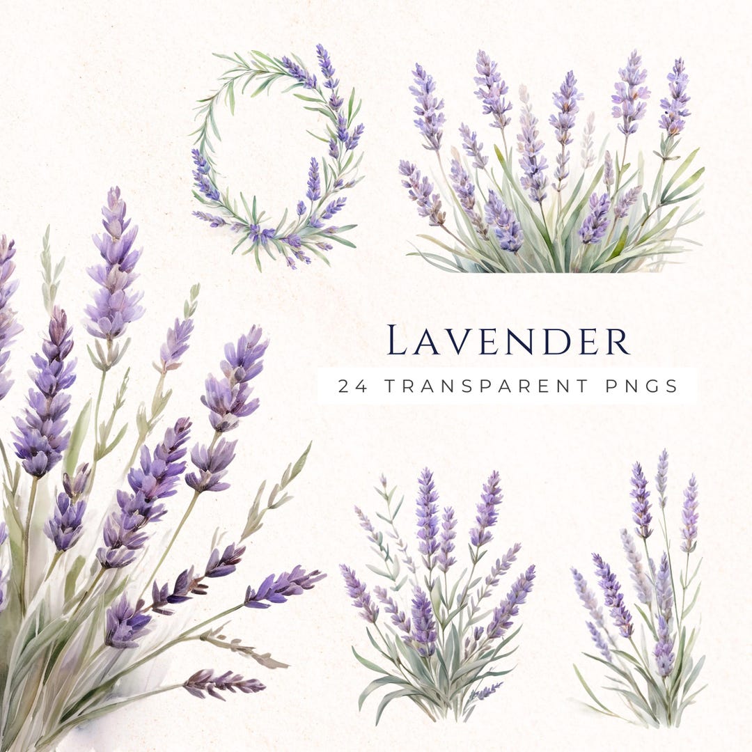 Watercolor Lavender Clipart Set, Purple Floral Graphics, Instant ...