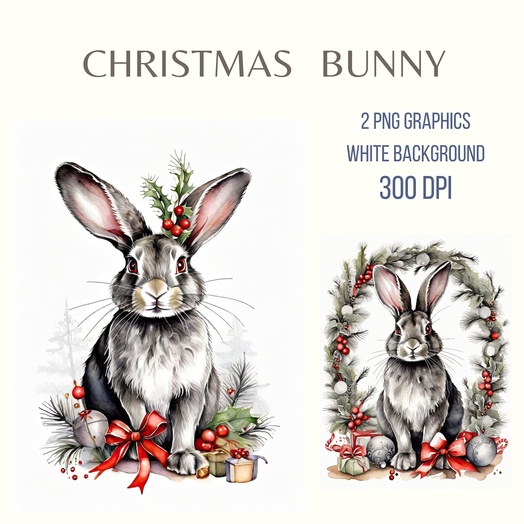 Black Rabbit PNG Files, Christmas Images, Rabbit Clipart, White ...