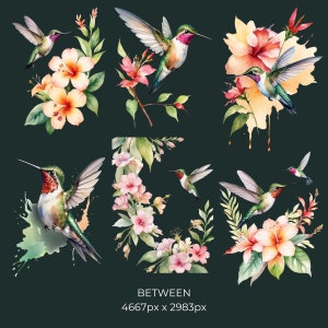 Hummingbird Clipart Digital Download, Watercolor Bird Clip Art ...