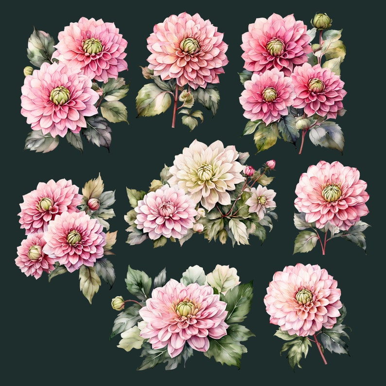 Pink Dahlia Flower Clip Art, Soft Pink Dahlias, Light Floral PNG ...