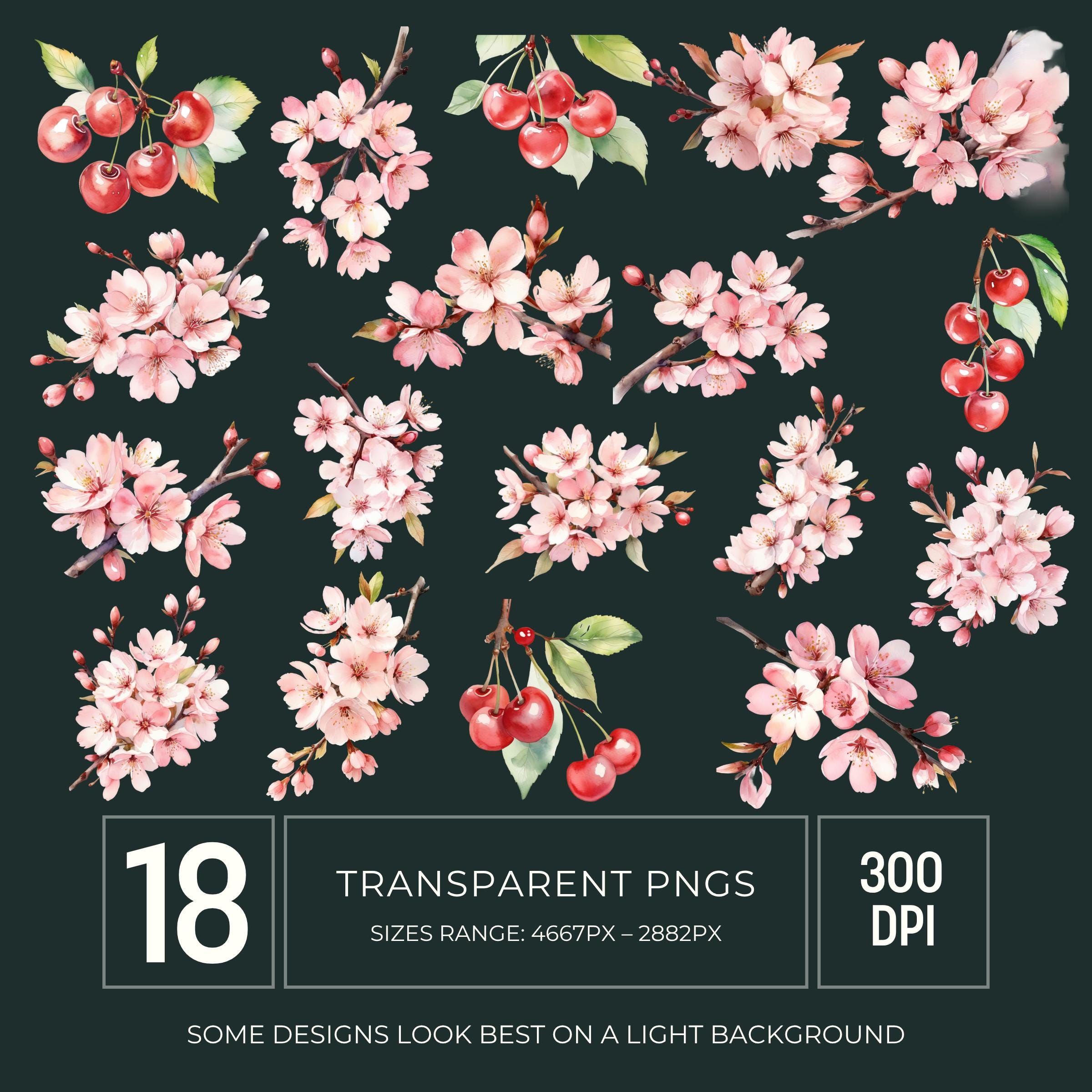 Cherry Blossom Sakura Watercolor Clipart PNG, Spring Floral Branch ...