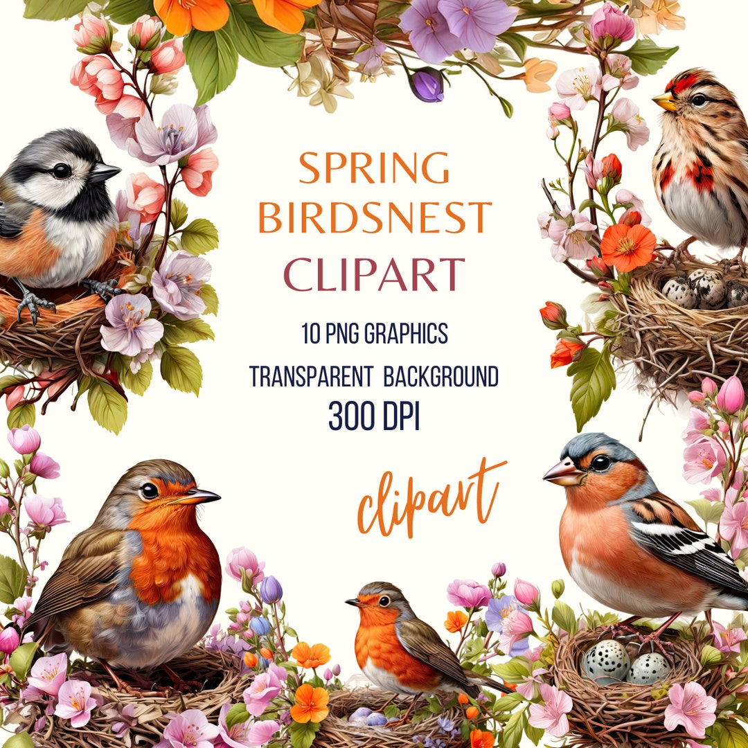 Spring Birds Nest Clipart, Sparrows and Tit Clip Art, Bird Lovers ...