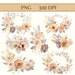 Soft Autumn Flower Clipart, Pale Watercolor Florals, Boho Fall Clip Art ...