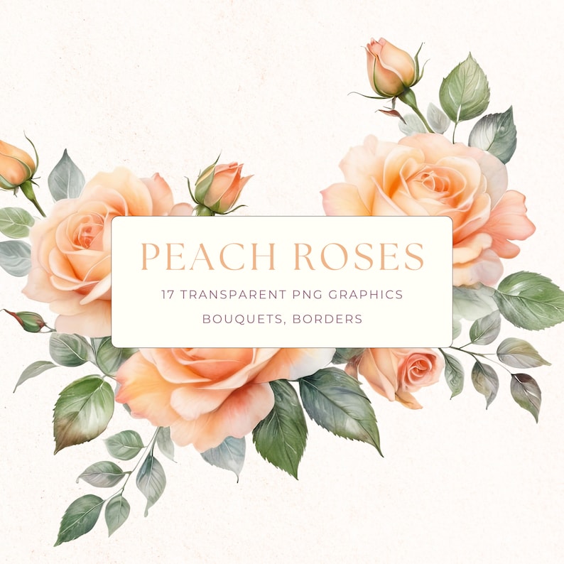 Peach Fuzz Roses Clipart, Flower Border Digital Download, Scrapbooking ...