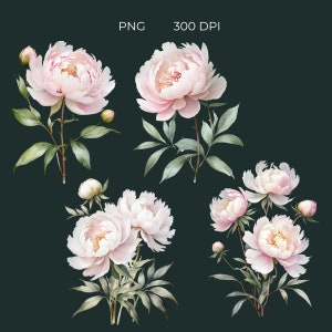 Peony Flower Clipart Instant Download PNG, Wedding Scrapbook Images ...