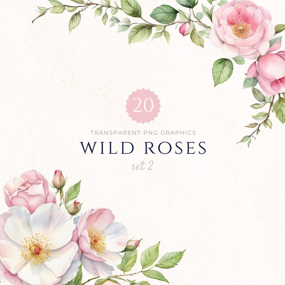 Detailed Wild Rose Clipart, Watercolor PNG, Scrapbooking Art Clipart ...
