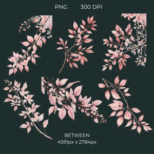Pink Tree Branch Clipart, Watercolor Branches Graphics, Commercial Use ...