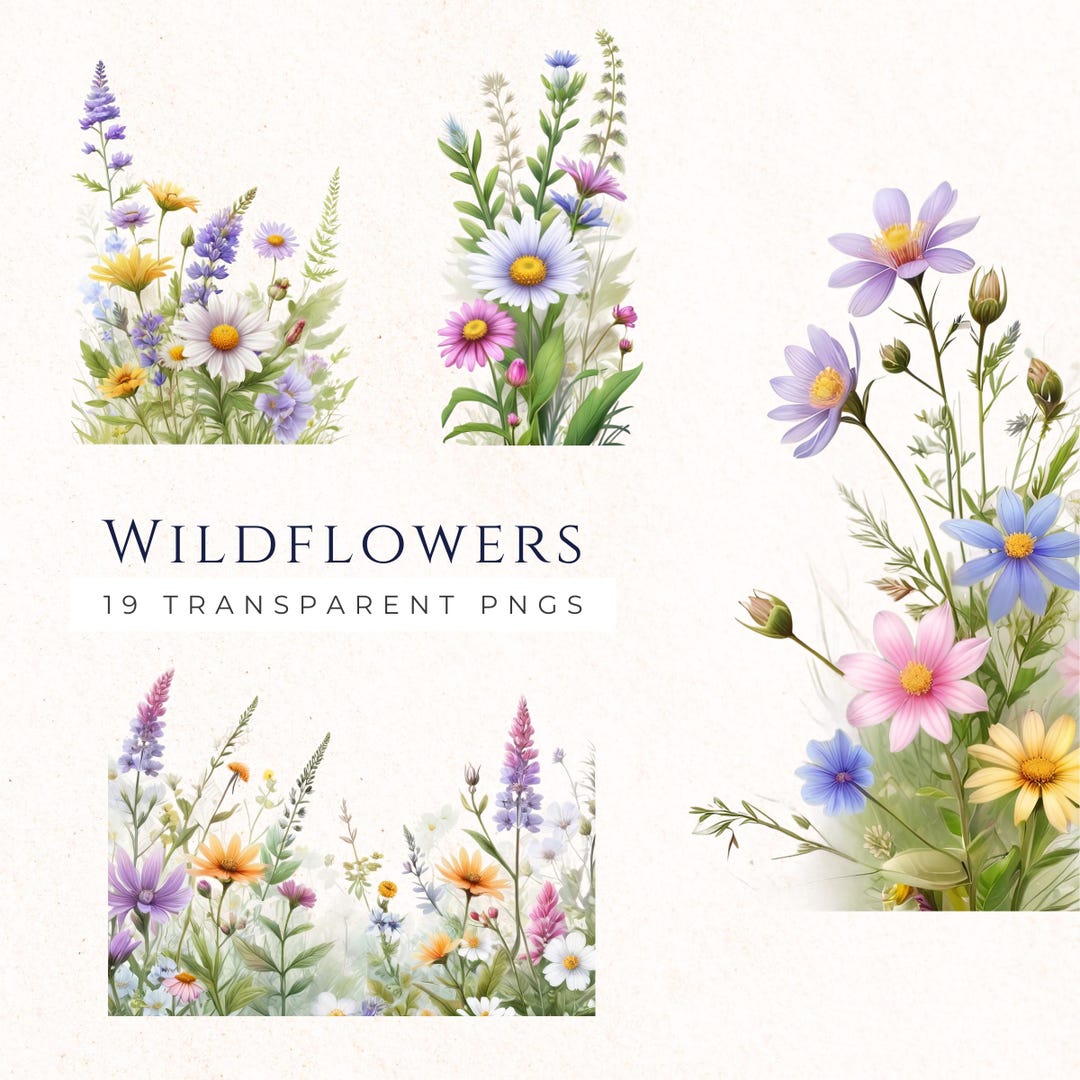 Watercolor Wildflower Clipart Set, Scrapbook Graphics, Card Making ...
