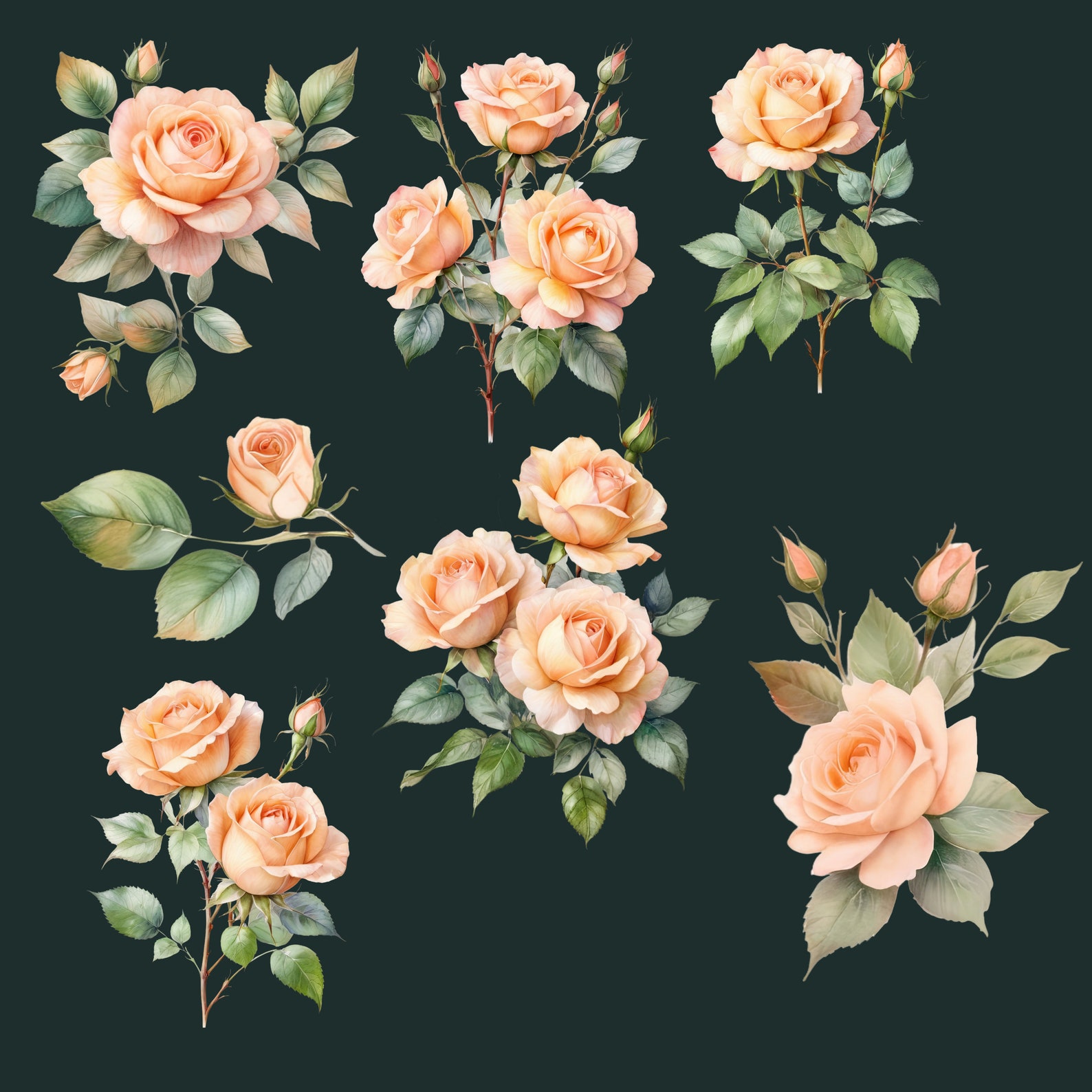 Peach Fuzz Roses Clipart, Flower Border Digital Download, Scrapbooking ...