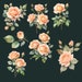 Peach Fuzz Roses Clipart, Flower Border Digital Download, Scrapbooking ...