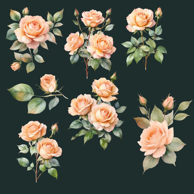 Peach Fuzz Roses Clipart, Flower Border Digital Download, Scrapbooking ...