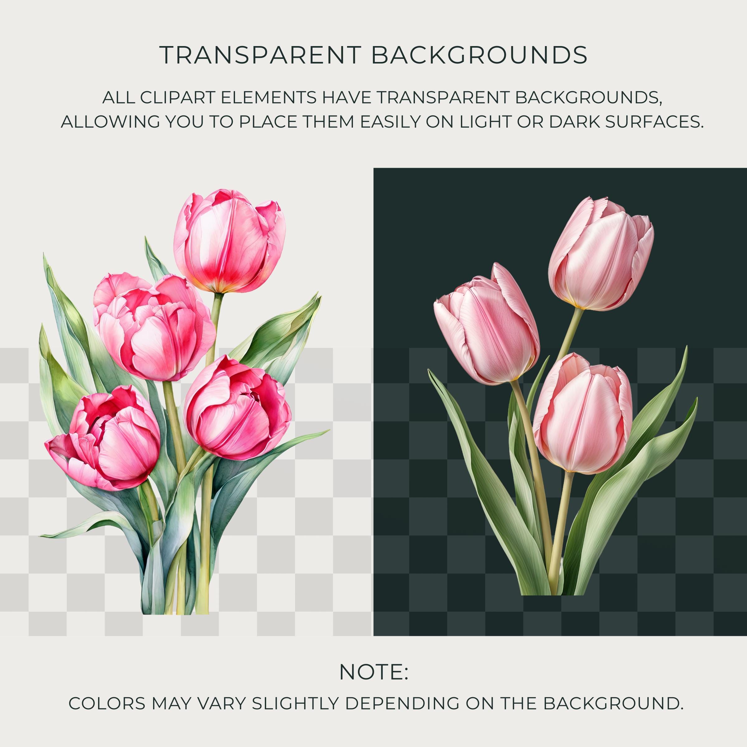 Pink Tulip Watercolor Clipart PNG, Spring Flower Bouquet Graphics for ...