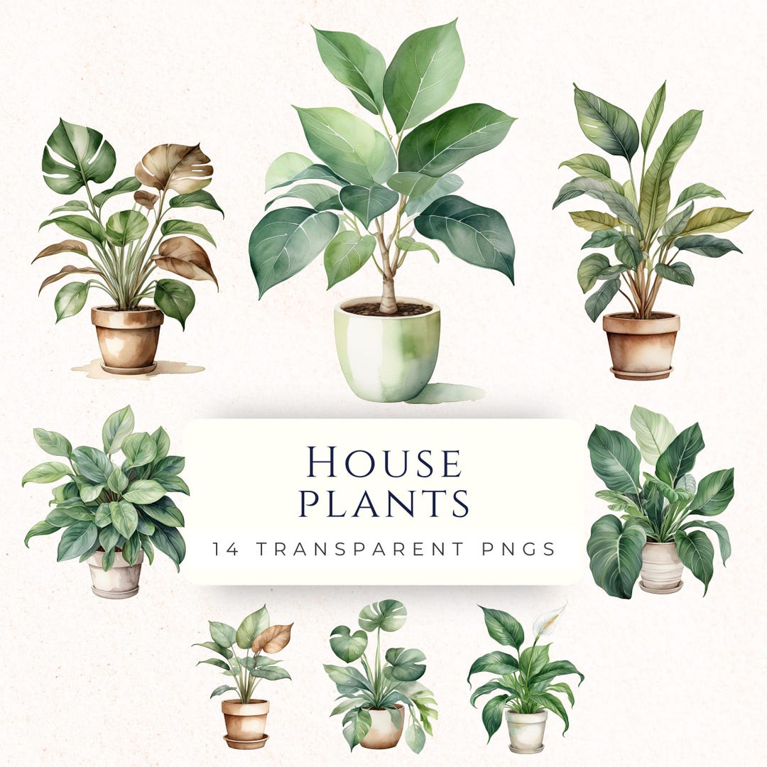 Watercolor Houseplant Clipart PNG, Paper Crafting Supply, Potted Plants ...