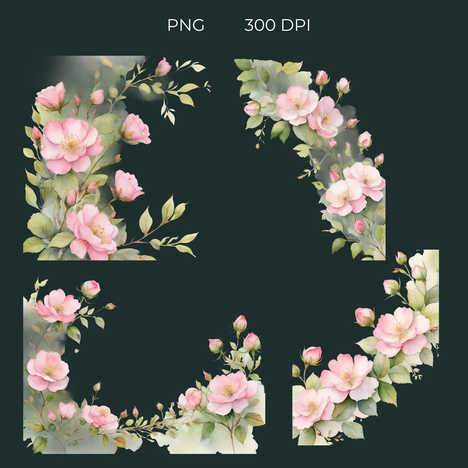 Pink Rose Border Clipart, Watercolor Flower Borders, Instant Download ...