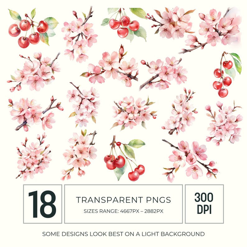 Cherry Blossom Sakura Watercolor Clipart PNG, Spring Floral Branch ...