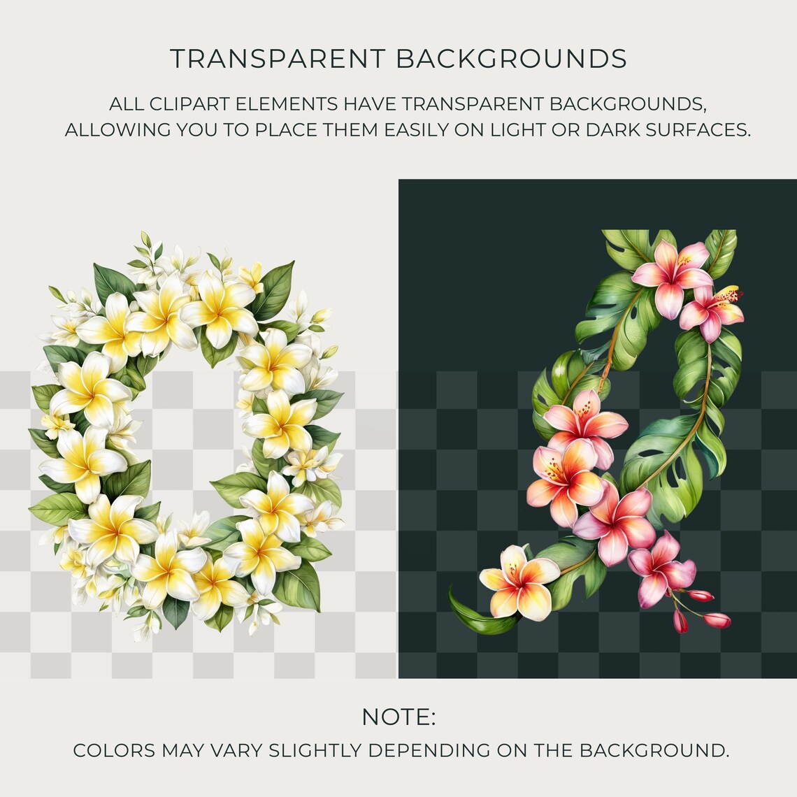 Plumeria Frangipani Watercolor Clipart Pack PNG, Tropical Hawaiian ...