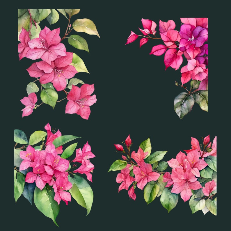 Watercolor Bougainvillea Clipart, Pink Floral Prints, Summer Art ...