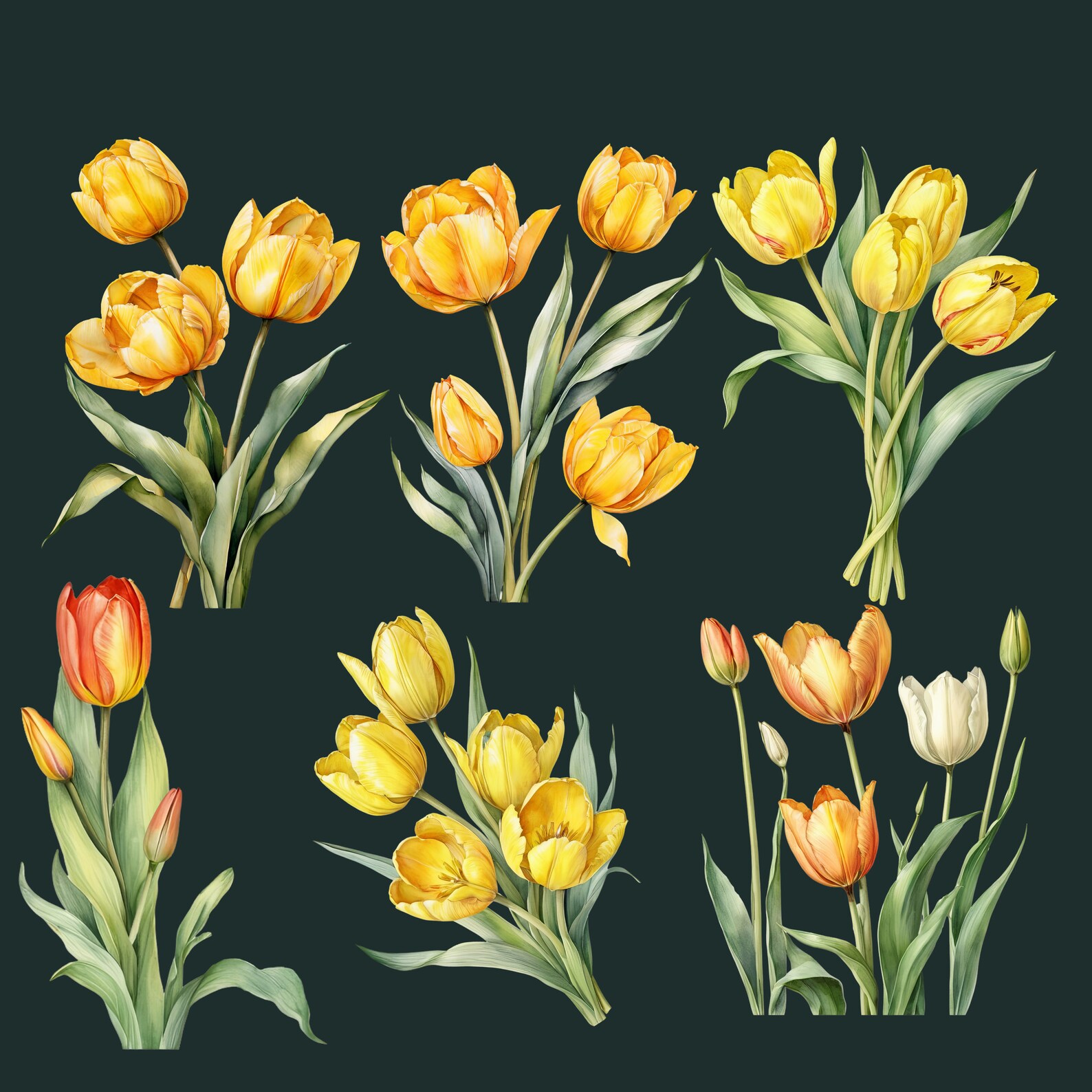 Colorful Spring Tulip Clip Art Bundle, Watercolor Flower Illustration ...