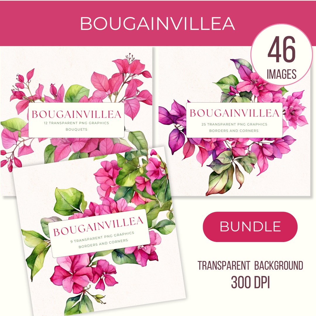 Bougainvillea Flower Clipart Bundle, Pink Boganvilla Floral Garland ...