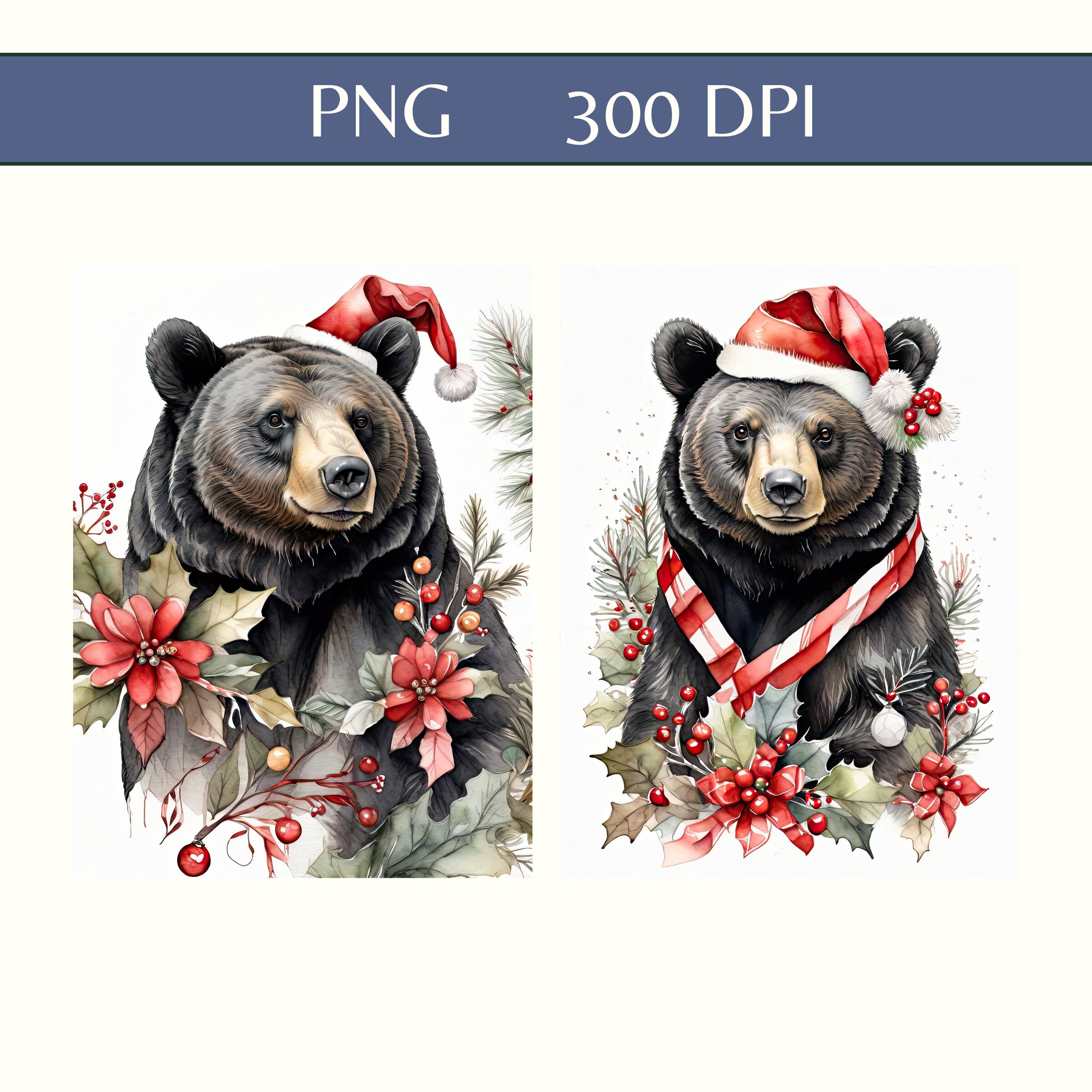 Christmas Bear Clipart Bundle, Watercolor Bear, White Background PNG ...