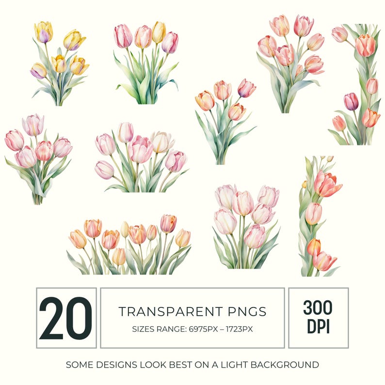 Spring Tulip Watercolor Clipart PNG, Seasonal Floral Graphics for ...