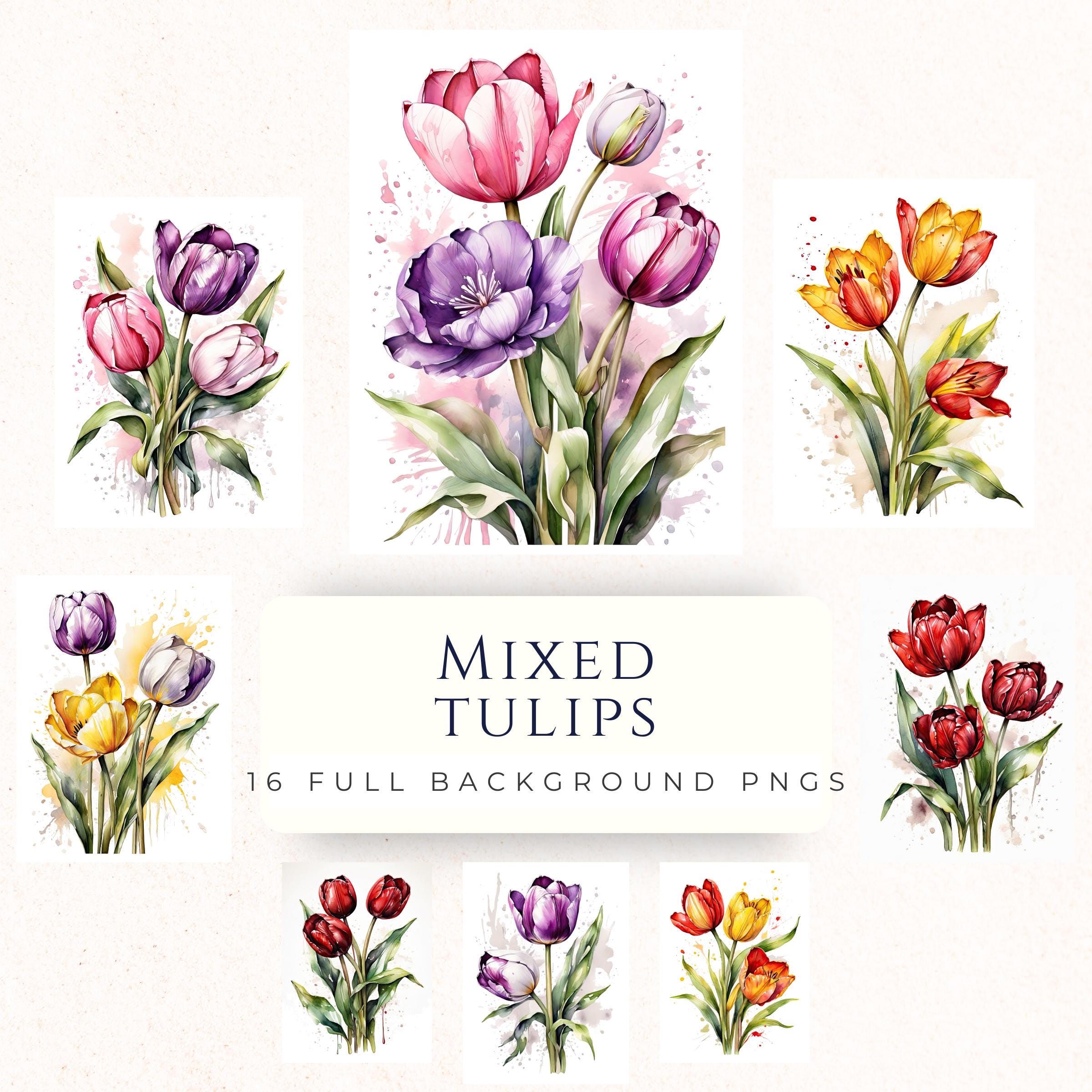 Mixed Tulips Clipart, Spring Flower Clip Art, Instant Download ...