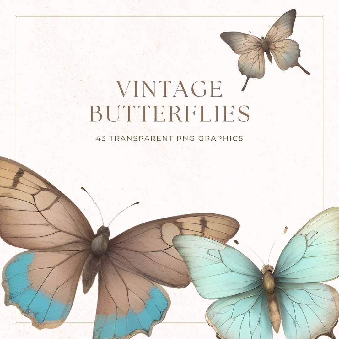 Delicate Butterfly Watercolor Clipart Collection Vintage Style PNG ...