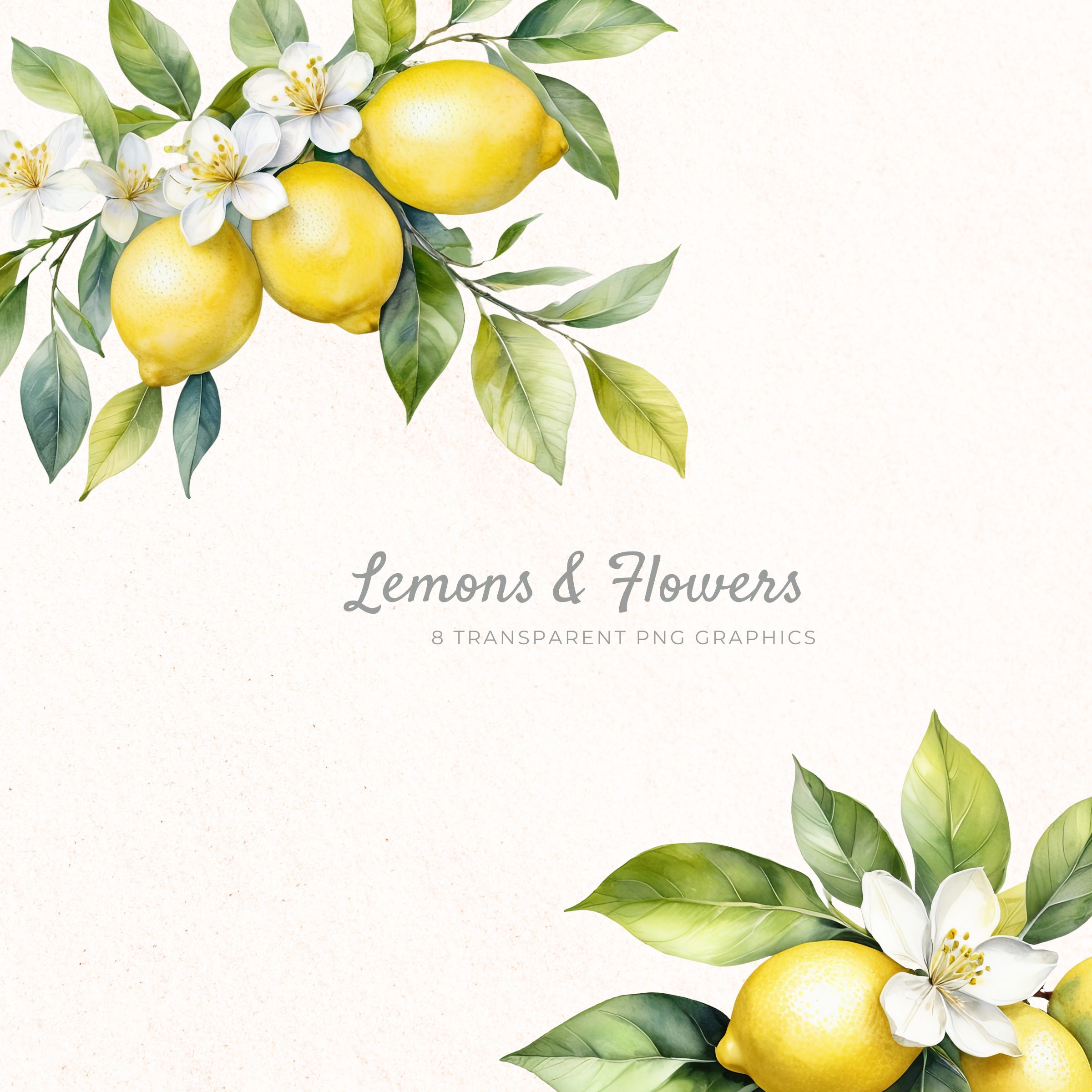 Citrus Lemon Clipart Pack, Watercolor Clip Art Set, Scrapbook Paper ...